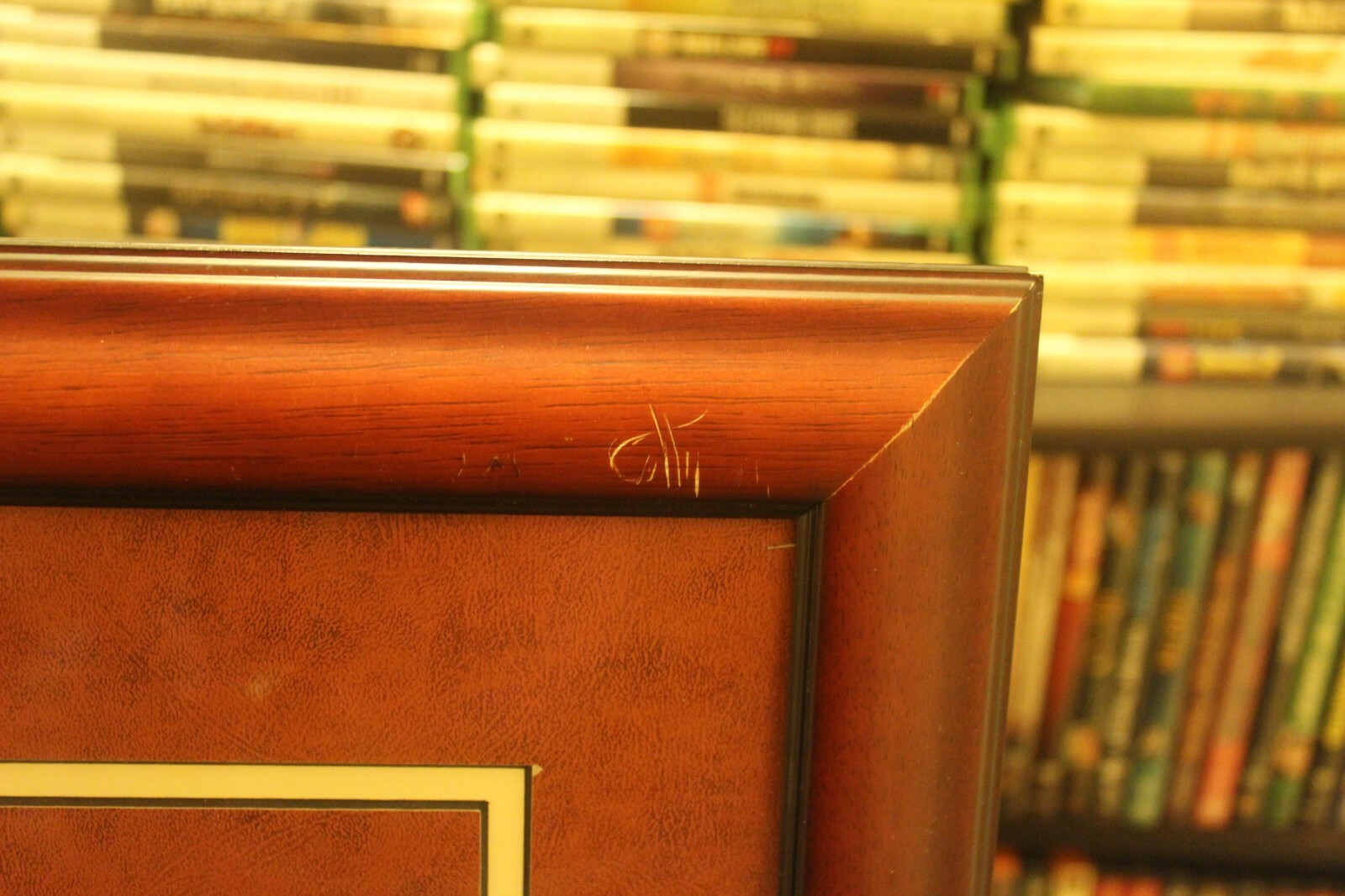 Signed Photograph of Nicole Kidman, Custom Frame 18x21 with COA | eBay