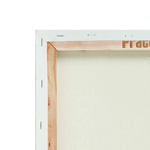 Economy Stretched Cotton Canvas 20-Pack 16x20 - Acid-Free Acrylic ...