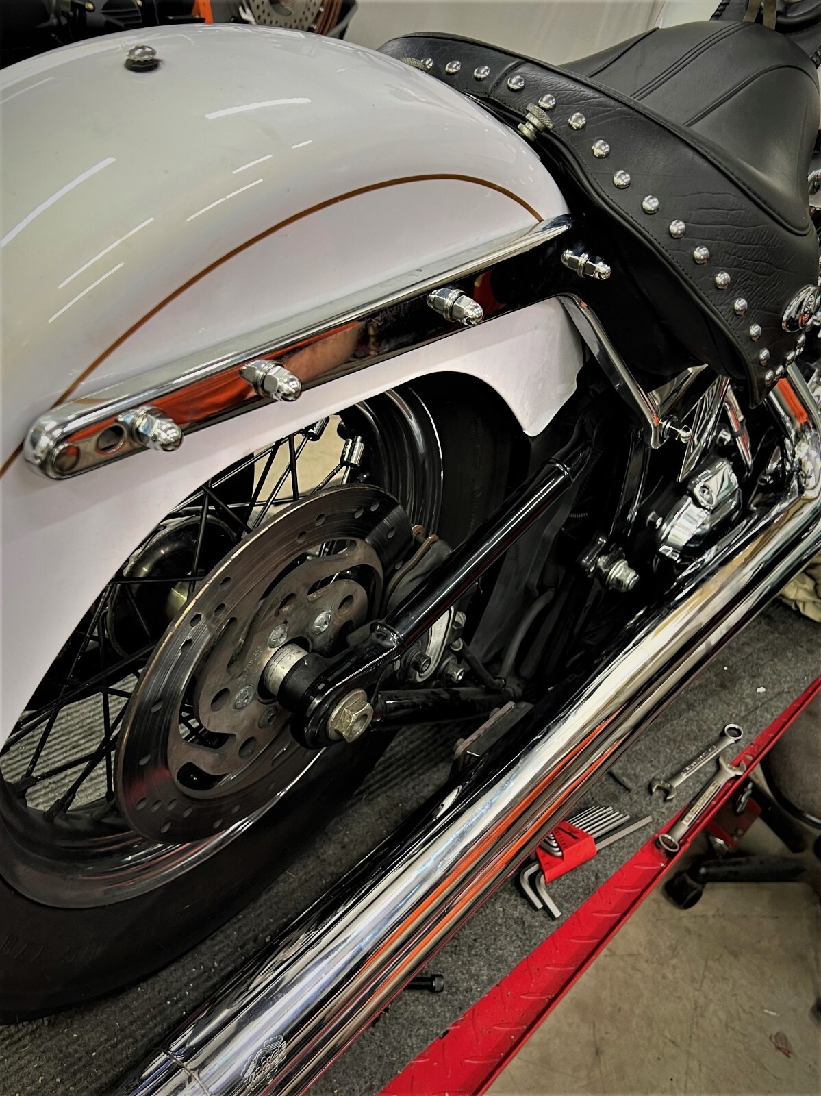 8 Harley Softail Chrome ACORN Rear Fender Strut Bolts 2018 - up FXST ...