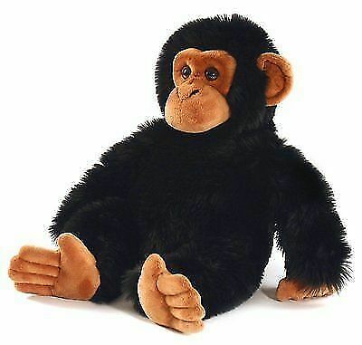 30cm Chimp Soft Plush Toy - Keel Toys Chimpanzee Monkey Wild Safari ...