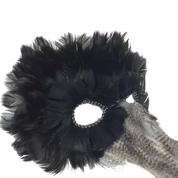 ADULT CROW RAVEN BIRD PLAGUE DOCTOR FEATHER VENETIAN COSTUME MASK BEAK ...