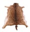 Deer Skin Axis Deer Hide Axis Deer Skin size: 39"X35" Cheetal Deer ...