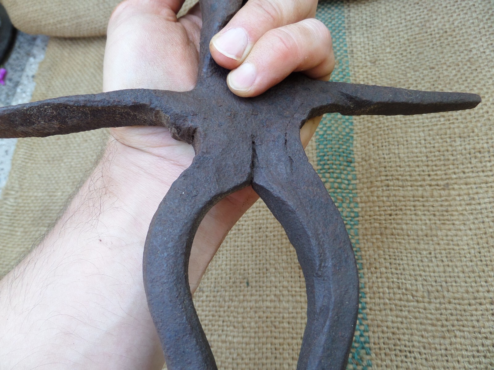 ANTIQUE ROOT PULLER BEET EXTRACTING TOOL DIGGING BEETROOT VINTAGE HAND ...