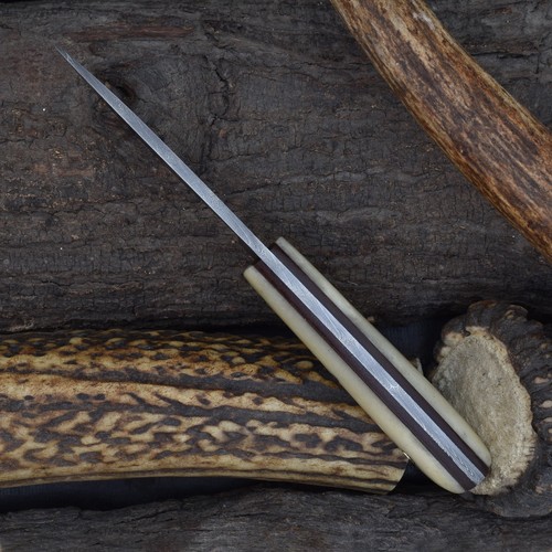 Knives Ranch 7" Hunting Knife, EDC Fixed Blade - Rosewood/Cattle Bone ...