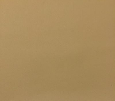 IZIT LEATHER CORNSILK BEIGE FR FAUX LEATHER RV AUTO YACHT FABRIC BY ...