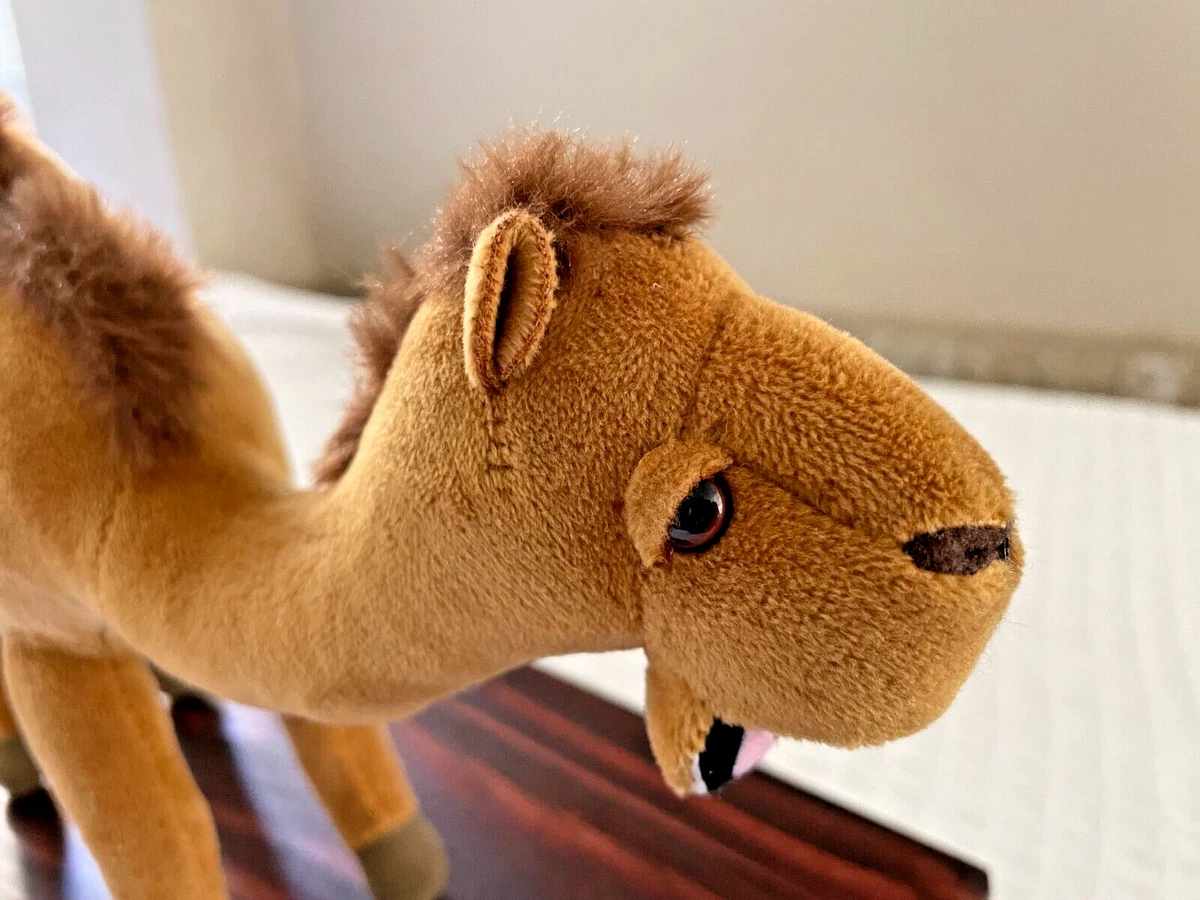 Geico Camel Hump Day