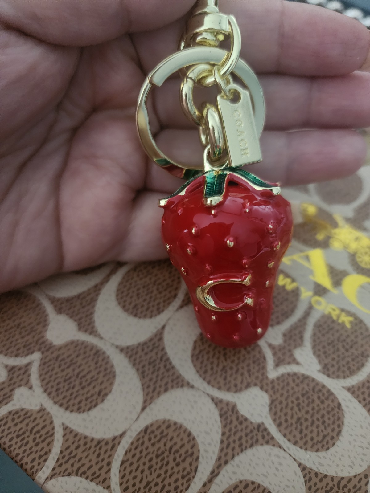 Coach Strawberry Bag Charm Keychain Resin and Metal Brass Keychain New ...