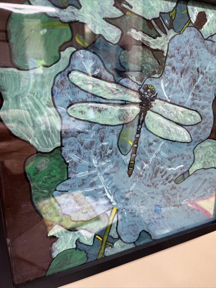 acrylic Dragonfly painting on Plastic by original artist Cathy Vaughan ...