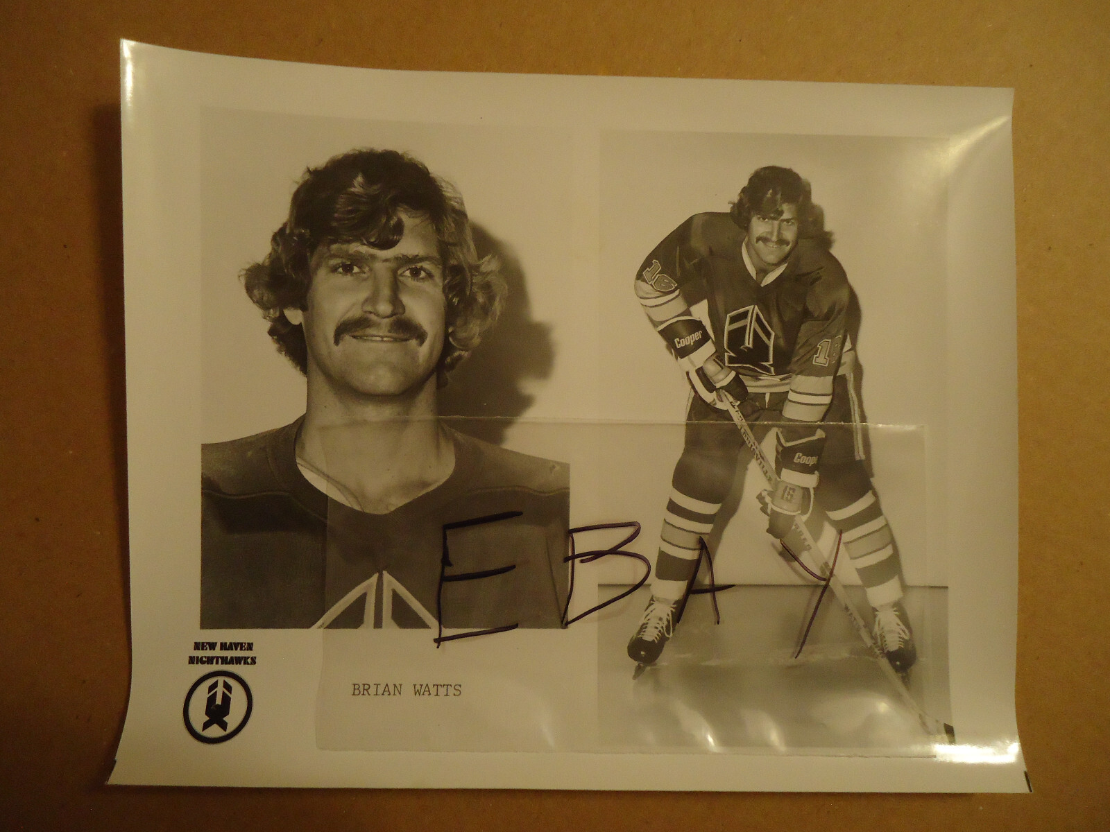 Brian Watts 1975-76 New Haven Nighthawks AHL hockey photo | eBay