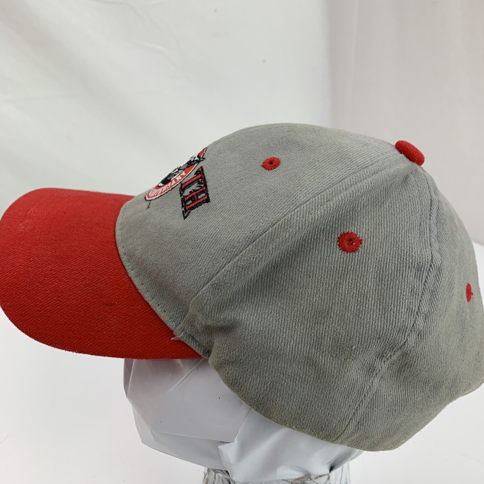 Rivercity Rascals 10th Anniversary Ball Cap Hat Adjus… - Gem