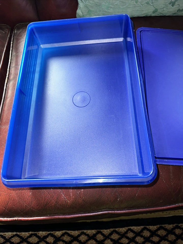 Tupperware Rectangular Snack 'N Store Savoury Keeper Container - Blue ...