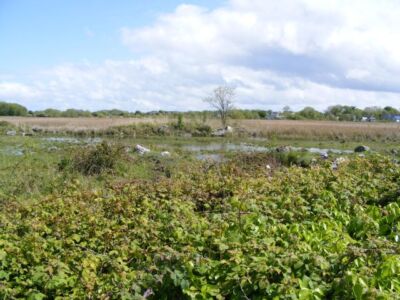 Photo 6x4 Ballinderreen Lough, Ballyvullaun Townland Killeenaran This ...