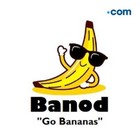 Banod.com 5 Letter Short Catchy Brandable Premium Domain Name for Sale ...