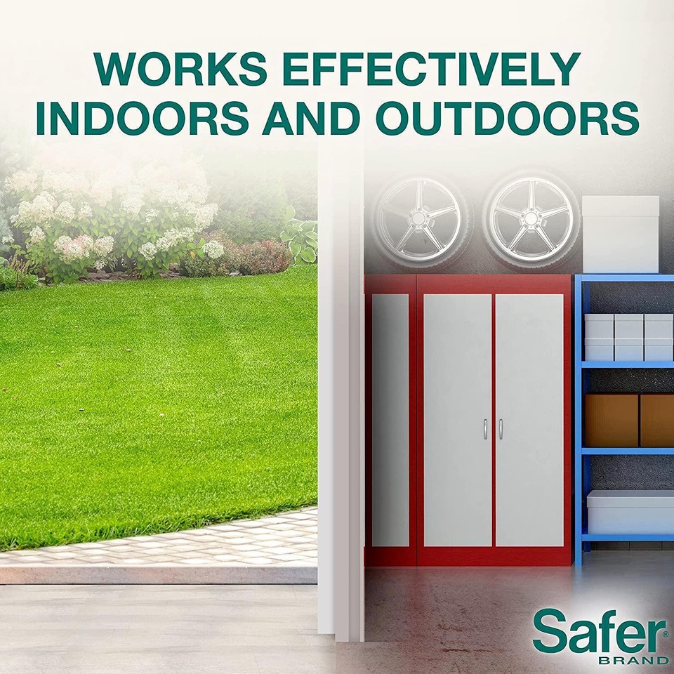 Poderoso Mata Cucaracha Cebo Insecticida En Polvo Para Eliminar ...