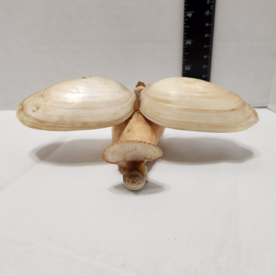 Vintage Hand Crafted Sea Shell Airplane Sculpture Figurine | eBay