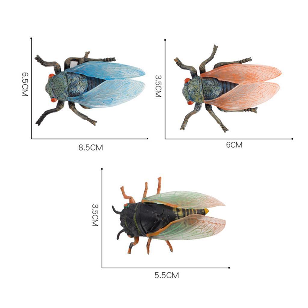 3x Model Fake Cicada Lifelike Bugs Toy | eBay