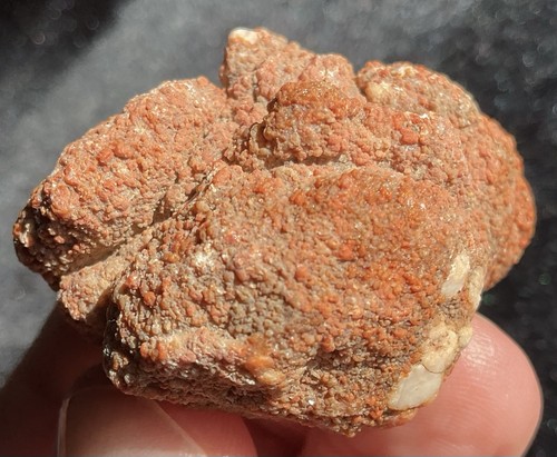 51g Agatized Barite Pseudomorph Botryoidal Chalcedony Mineral Specimen ...