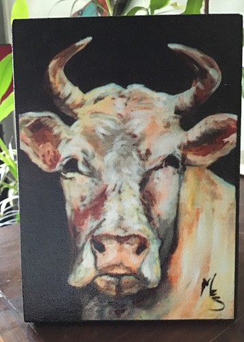 Michelle Foy Sucaet Picture Of A Bull Signed 7x5” Painting Printed On ...