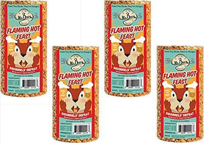 Flaming Hot Bird Seed Cylinder Pack of 4 Squirrel Proof Healthy Diet | eBay