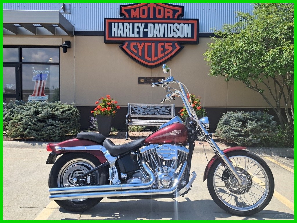 2001 Harley-Davidson Softail Standard | Timeless Rides