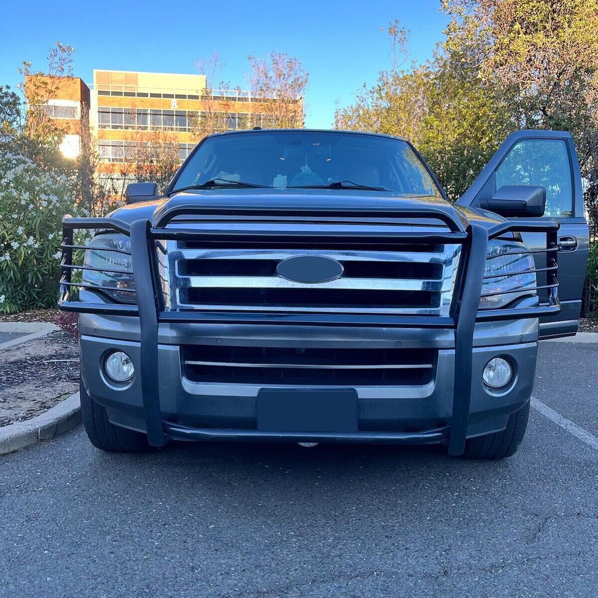 Bumper Grille Grill Brush Guard For 03-17 Ford Expedition w/ 2 ...