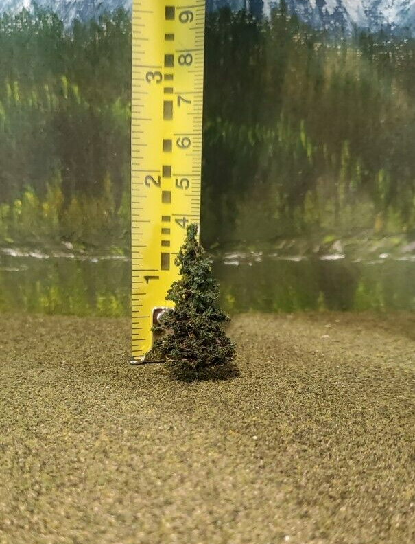 MOOSE CREEK TREES - Fir Pine Trees (1.5" x 20 Trees) Model Trees - HO N ...