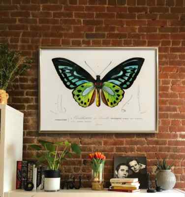 Green Butterfly Painting Wall Art poster Choose your Size | eBay Australia