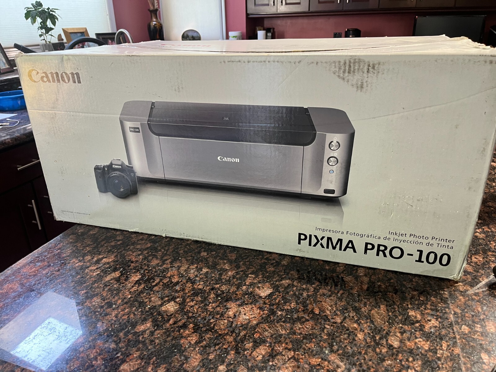 Canon PIXMA PRO-100 Inkjet Color Digital Photo Printer - 6228B002 for ...