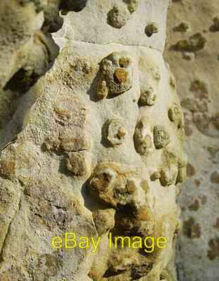 Photo 6x4 Lumpy Sandstone Pitscottie The sandstone of Charlie's clif ...