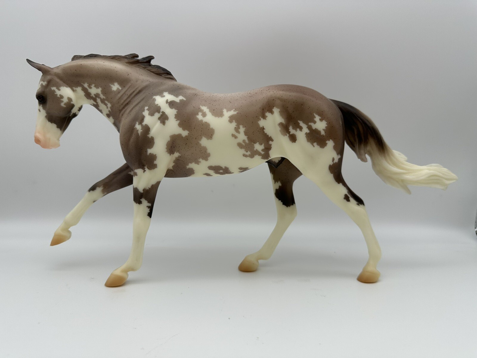 Breyer Seven Arts Surprise Matte Max Sabino Paint Breyerfest 2021 ...