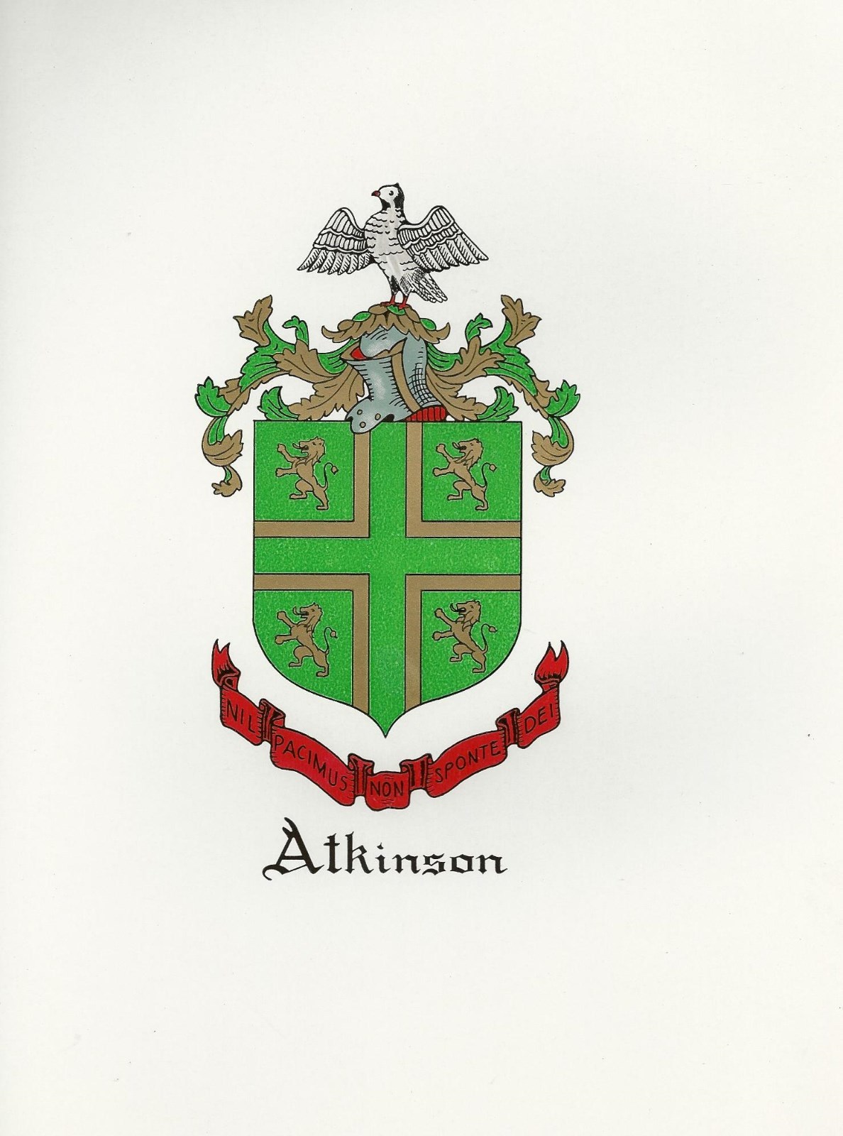 Great Coat of Arms/Family Crest Atkinson genealogy, would look great ...
