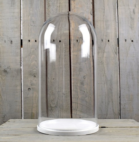 Large Glass Dome Cover Cloche Display With White Wooden Base Height 45 ...