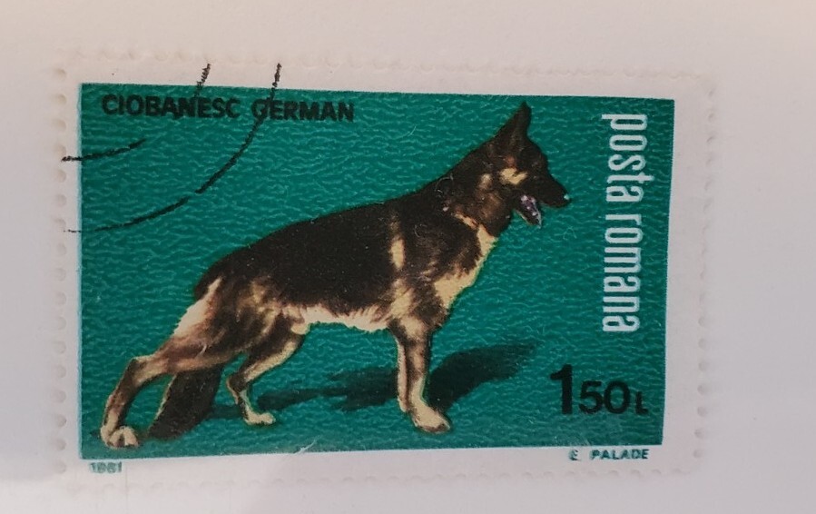 Romanian Stamp Posta Romana German Shepherd | Grelly USA