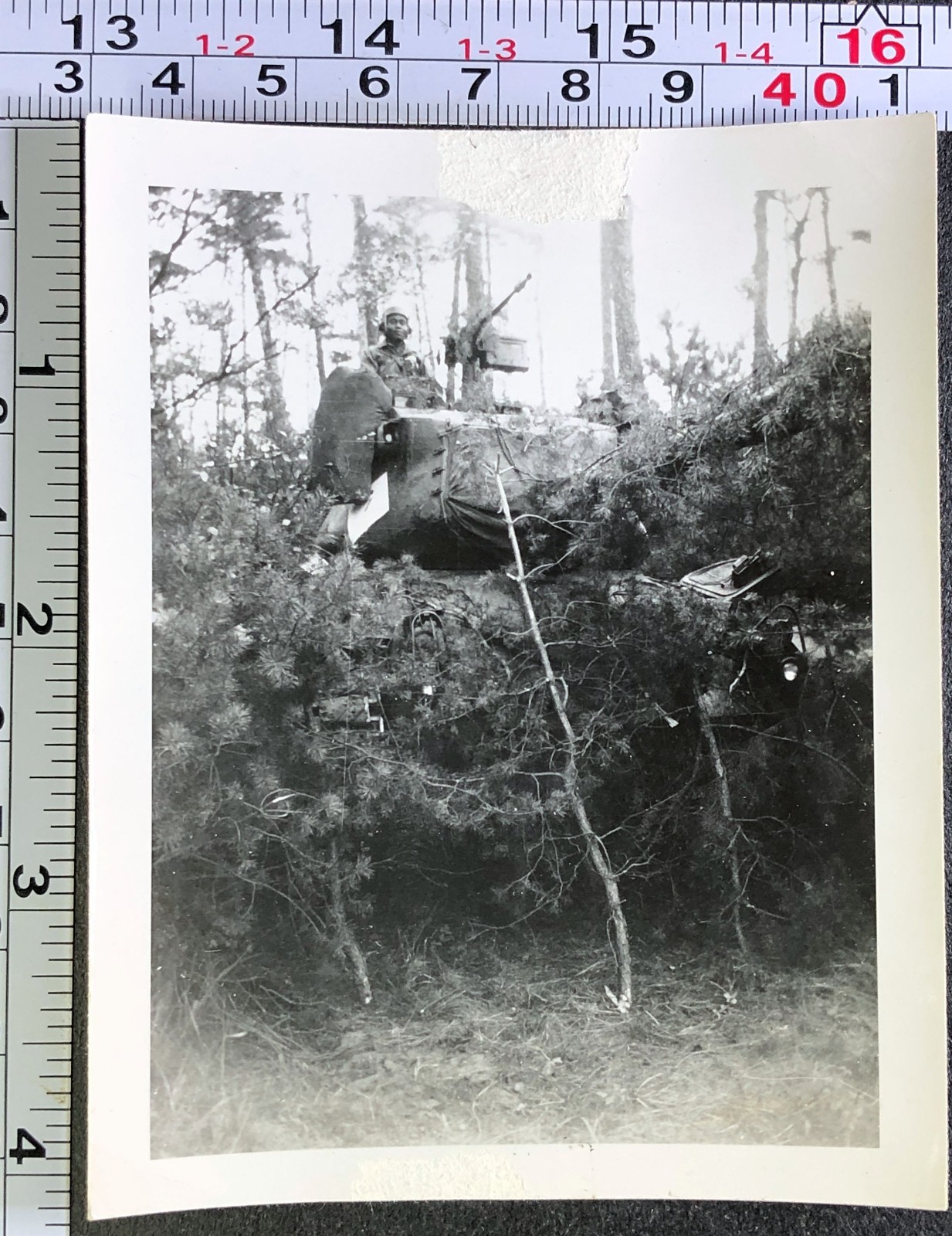 Concealed Tank Woods WW2 Era Military Brush Trees Old BW Photo Snapshot ...
