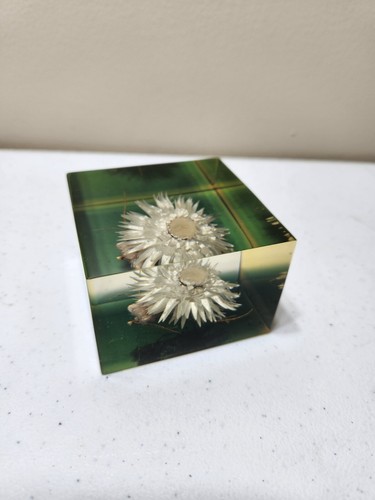 Vintage Square Paperweight Flower Daisy Encased in Resin Decor | eBay