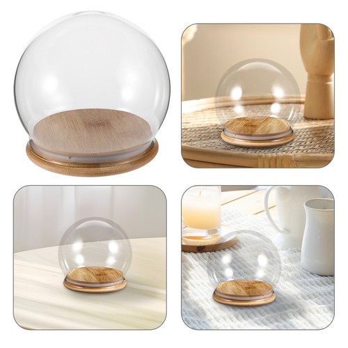 Micro Landscape Glass Dome Immortal Flower Covers Small Bottle Cloche ...