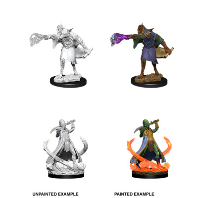 D&D Unpainted Nolzur's Marvelous Miniatures Arcanaloth & Ultroloth ...