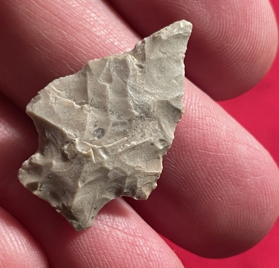 10 Authentic NC Arrowheads,Lecroy,Kirk,levanna,palmer,Big Sandy,serrated | eBay