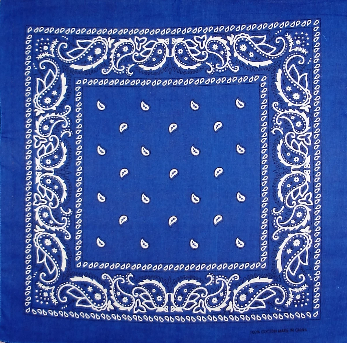 Blue Paisley Bandana