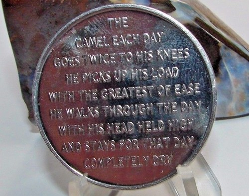 Alcoholics Anonymous AA One Day At A Time Camel Aluminum Medallion Coin ...