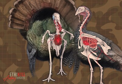 5 Pack of 2 Sided Paper Turkey Targets - 18x26 Inches - Turkey Hunting ...