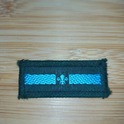 Uk Scouting 1980's Scout Patrol Leader Training Badge | eBay UK