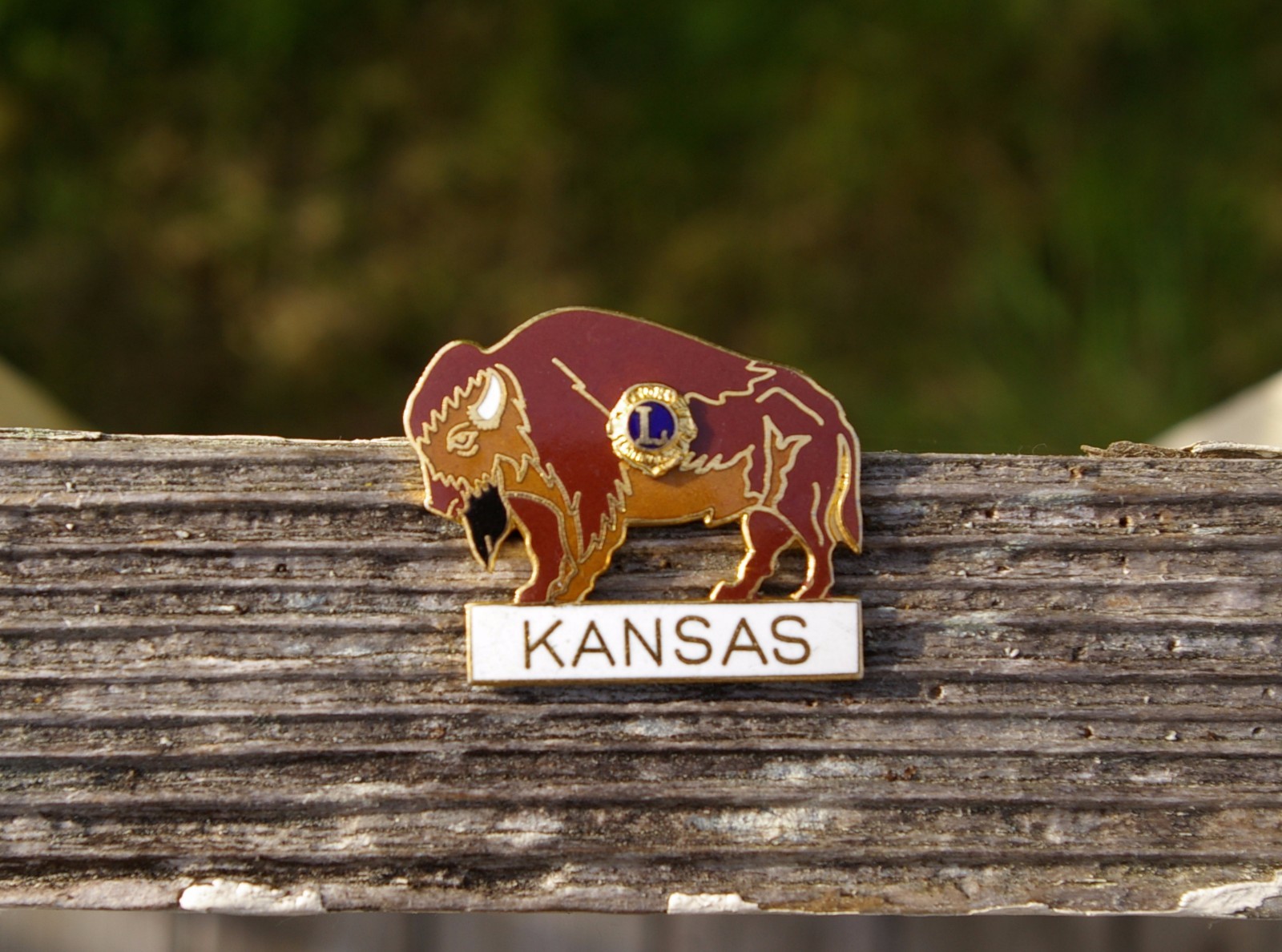 Lions Club International Gold Tone Metal Enamel Buffalo Bison Kansas ...