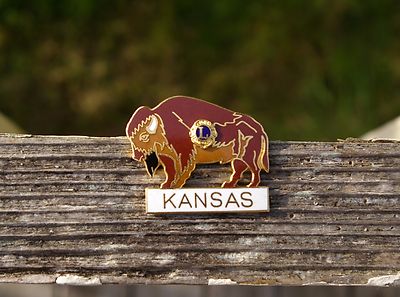 Lions Club International Gold Tone Metal Enamel Buffalo Bison Kansas ...