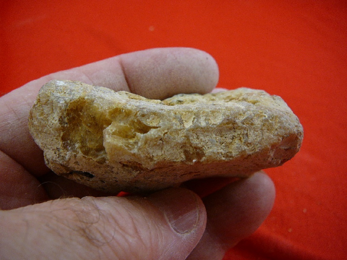 (k-3083) 50 g Rare Kauri tree Gum copal young Amber New Zealand Tane ...