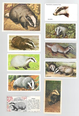 CIGARETTE/TRADE/CARDS. BADGERS. (10 Cards). | eBay