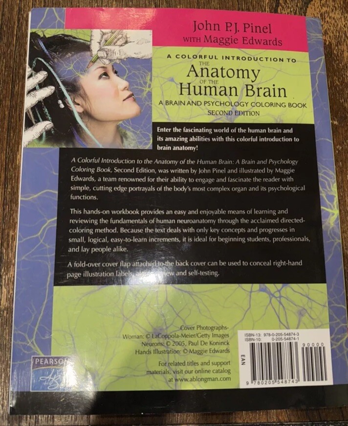 Colorful Introduction to the Anatomy of the Human Brain : A Brain and ...