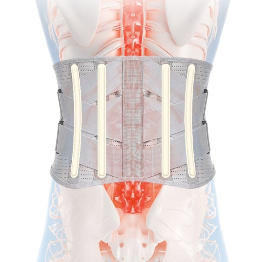 Weight Barbell Waist Protection Breathable Training Belt Waist Support ...