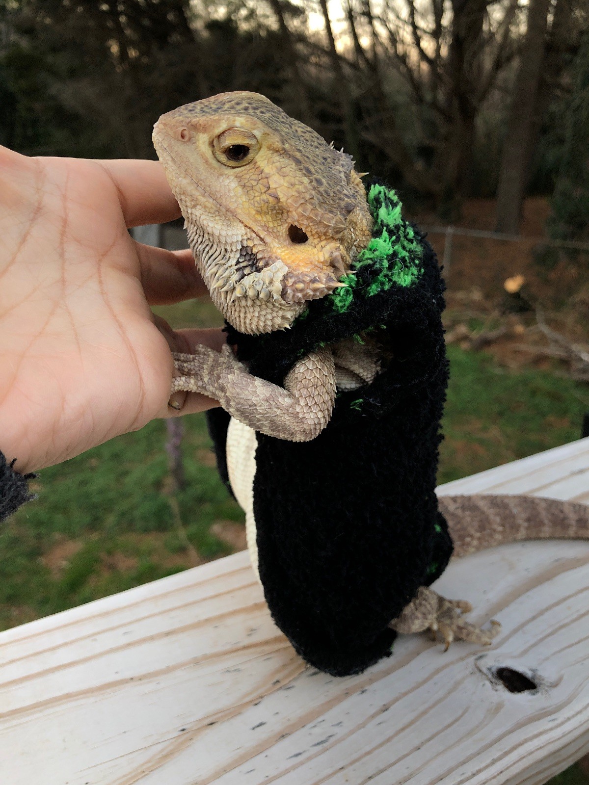 MINECRAFT PRINTS SNUG XLRG SLEEVELESS BODY SHIRT 4 UNISEX BEARDED ...