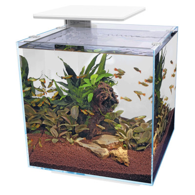 QubiQ 60L Pro Aquarium Fish Tank | eBay UK